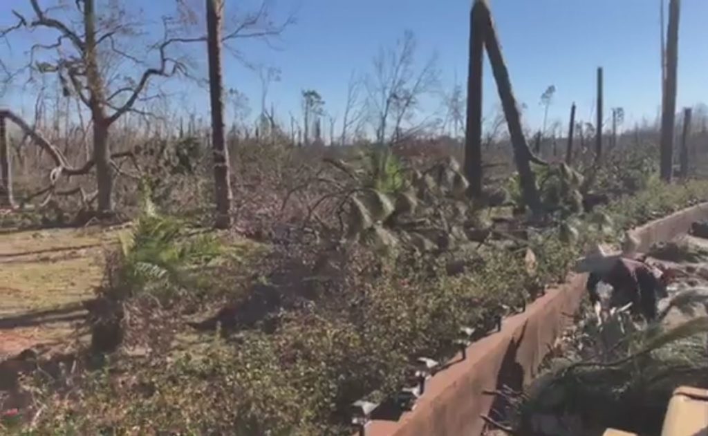 Hurricane Michael Devastation and Recovery | Quan Am Nam Hai Monestary