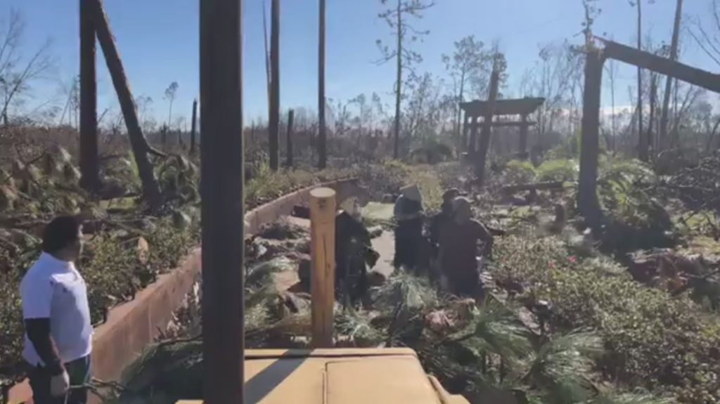 Hurricane Michael Devastation and Recovery | Quan Am Nam Hai Monestary